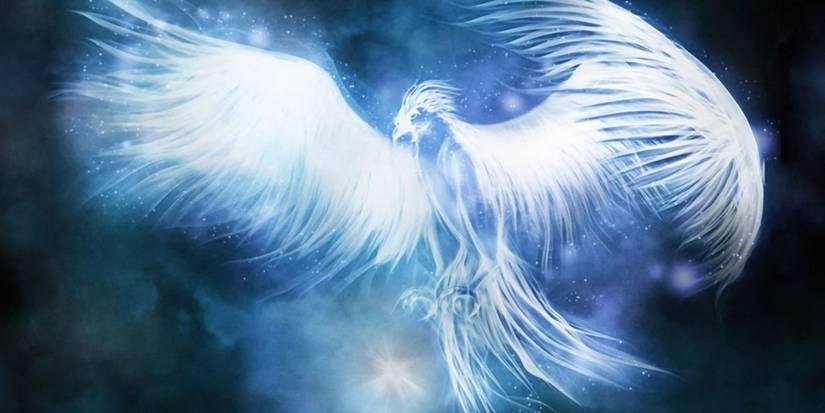 10 Weirdest Patronus Forms in Harry Potter, Ranked