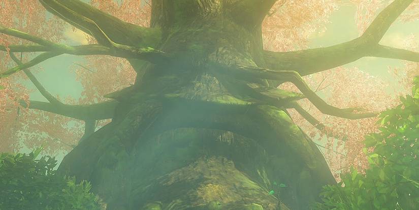 10 Breath Of The Wild Characters Who Deserve More Screen Time In Tears ...