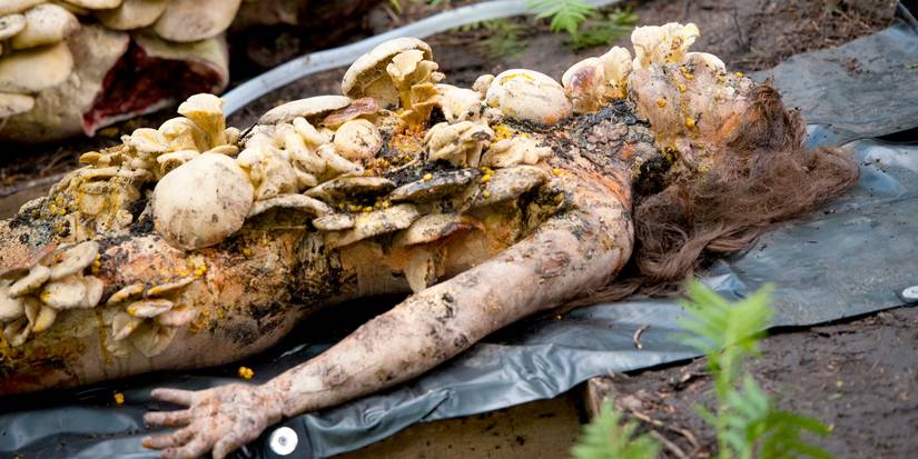 Hannibal's Fungal Infection Story Is Scarier Than The Last of Us