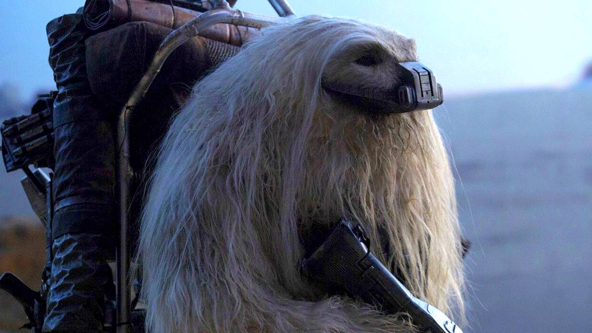 Andor Set Photos Spoil a Fuzzy Mercenary's Season 2 Return