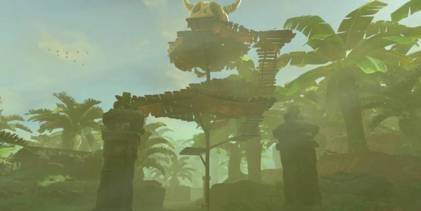The Legend Of Zelda: Zonai Facts You Never Knew