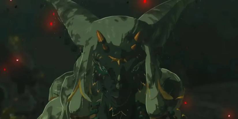 The Legend Of Zelda: Zonai Facts You Never Knew