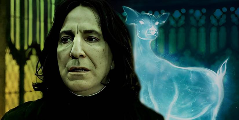 Which Spells Did Snape Invent in Harry Potter?