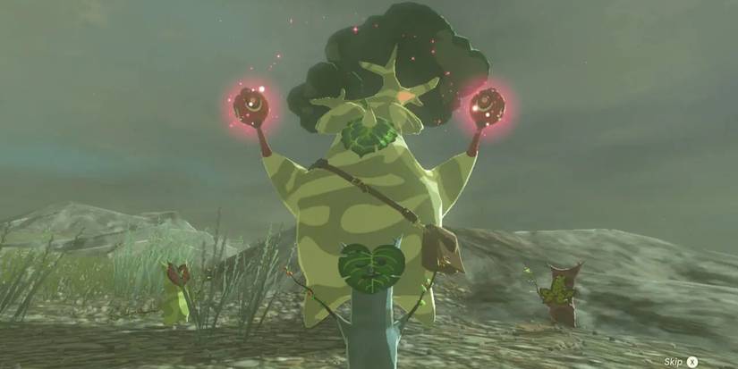 Zelda: 10 Most Memorable Side Characters Who Got Barely Any Screen Time