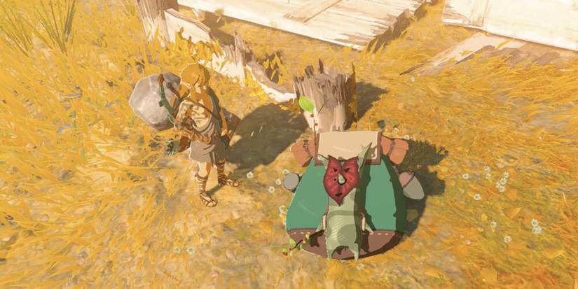 The Legend Of Zelda: Tears Of The Kingdom Details That Redditors Caught