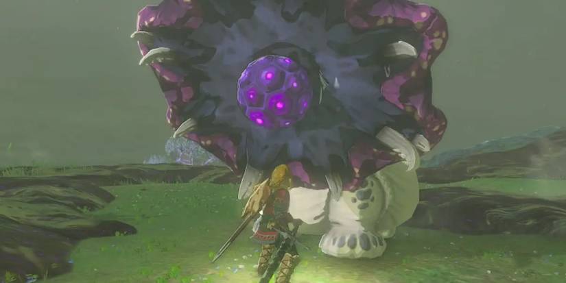 Every Tears Of The Kingdom Boss, Ranked by Difficulty