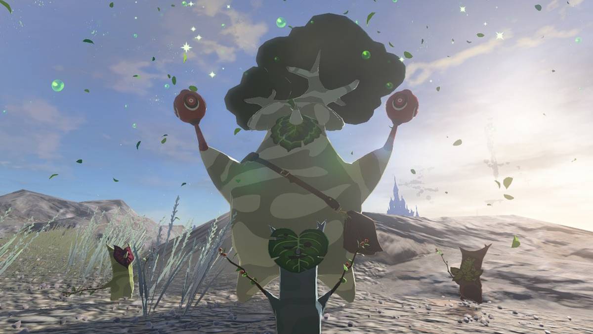 Tears of the Kingdom: Hestu & Inventory Expansion Guide
