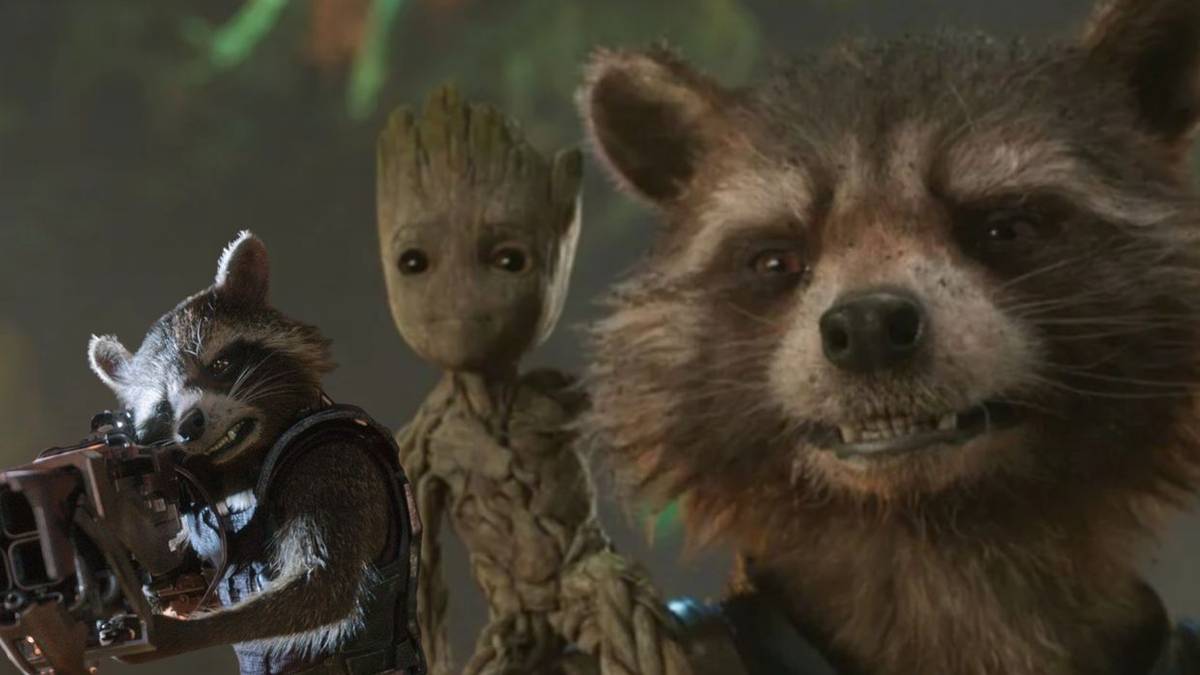 Rocket Raccoon's Funniest Quotes In MCU Movies
