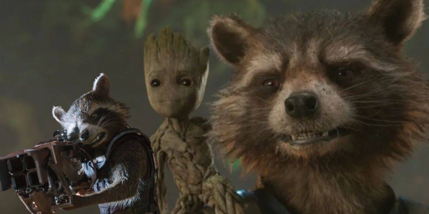 Rocket Raccoon's Funniest Quotes In MCU Movies