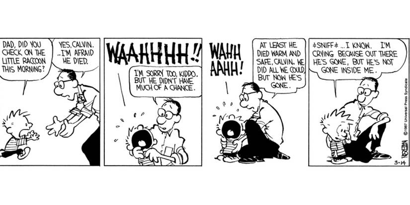10 Darkest Calvin and Hobbes Comic Strips, Ranked
