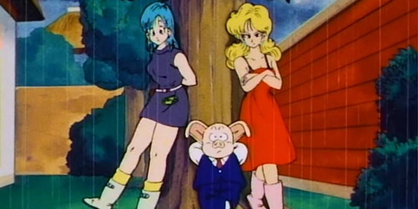 Why Didn't Launch And Tien Get Together In DBZ?