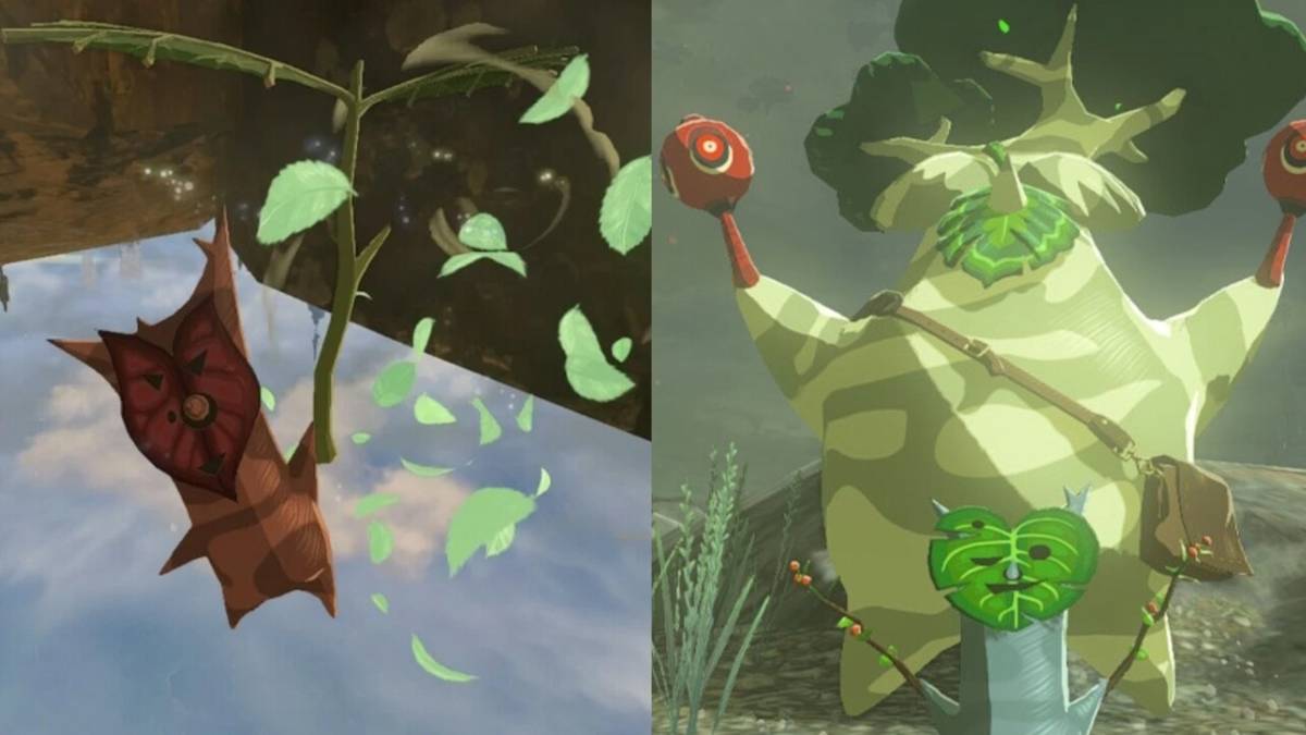 How Many Korok Seeds Are In Tears Of The Kingdom And Breath Of The Wild