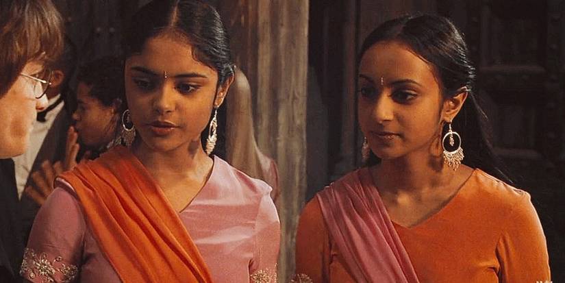 10 Sybill Trelawney Predictions That Came True in Harry Potter, Explained