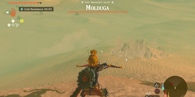 TOTK Molduga Guide