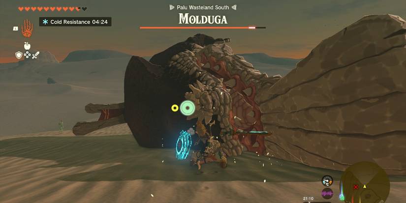 Zelda TOTK: 10 Best Ways to Kill Time When You're Bored