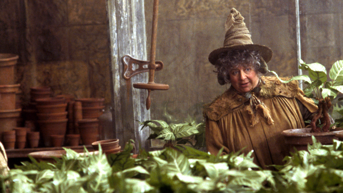 What Is Professor Sprout's Name in Harry Potter?