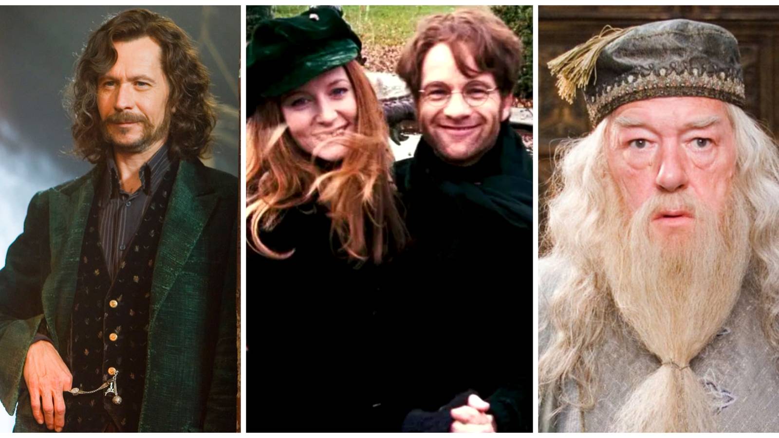 Order of the Phoenix Members Who Sacrificed the Most in Harry Potter