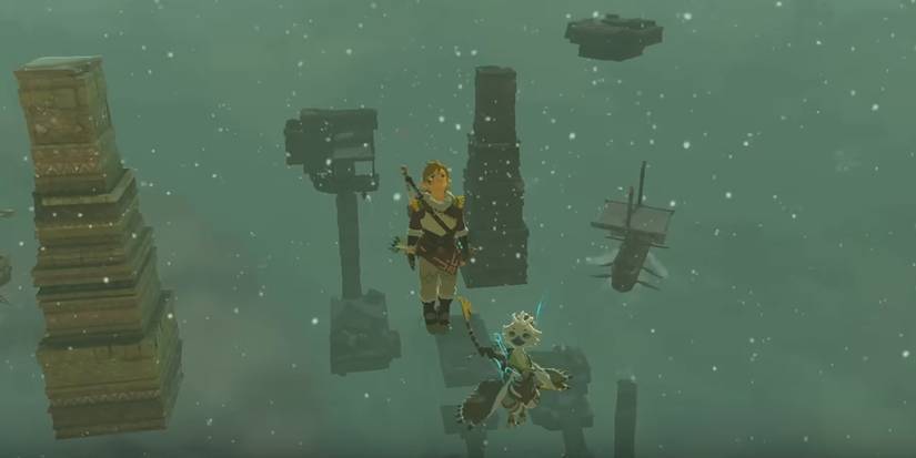 Legend of Zelda Rito Fun Facts & Trivia