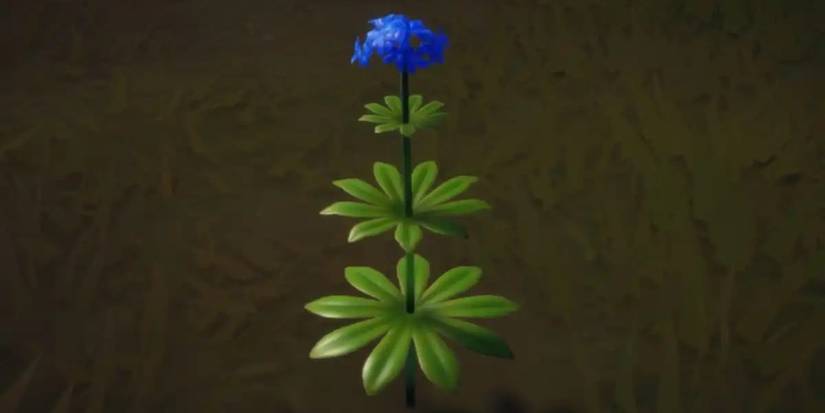 Disney Dreamlight Valley Flower Guide