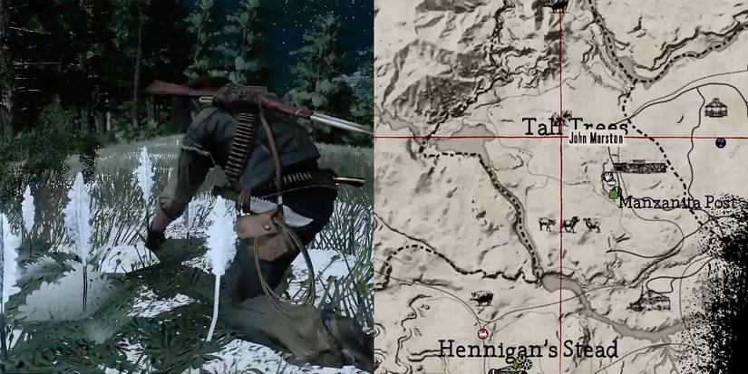 How To Beat The Survivalist Challenge In Red Dead Redemption