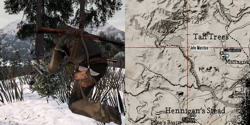 How To Beat The Survivalist Challenge In Red Dead Redemption