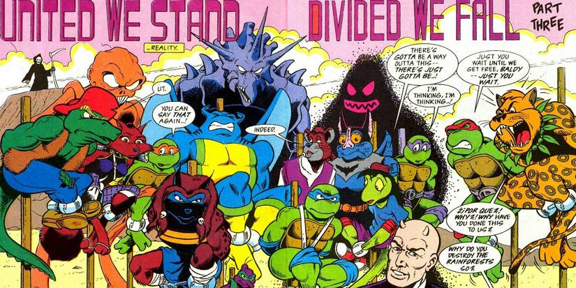 TMNT: The Ninja Turtles' Greatest Allies