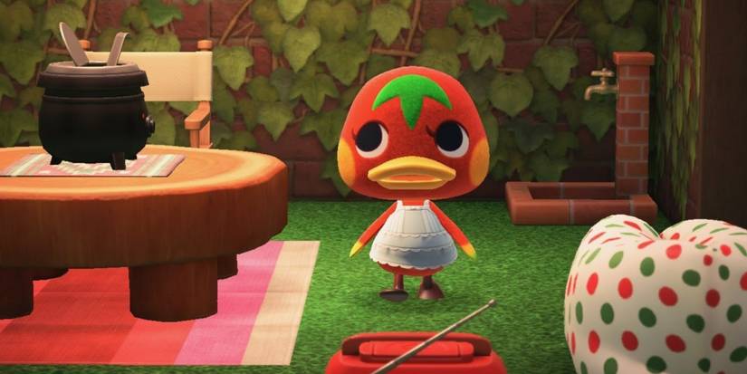 The 35 Best Animal Crossing: New Horizons Villagers