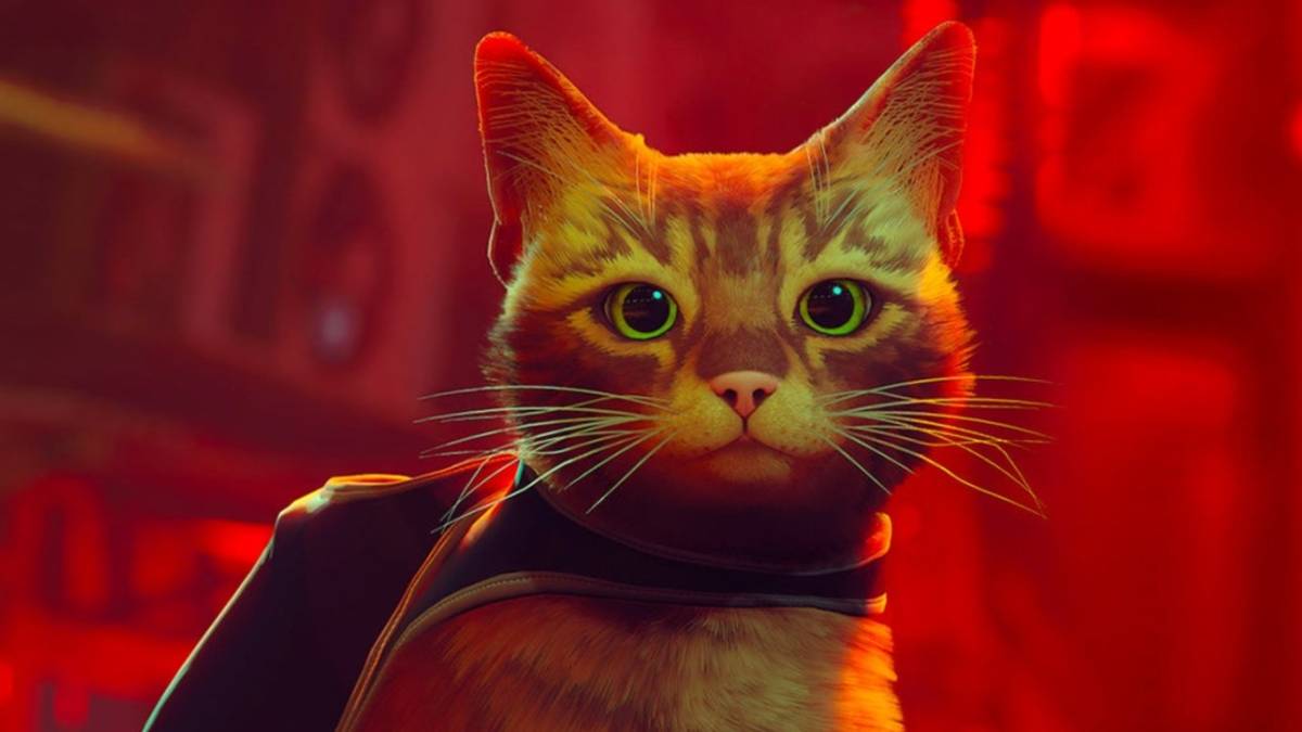 Stray Is Getting an Animated Film Adaptation