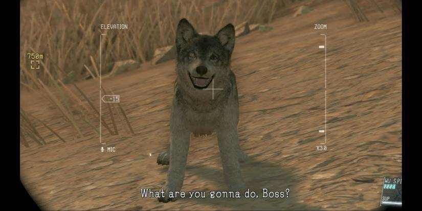 The Cutest Video Game Pets, Ranked