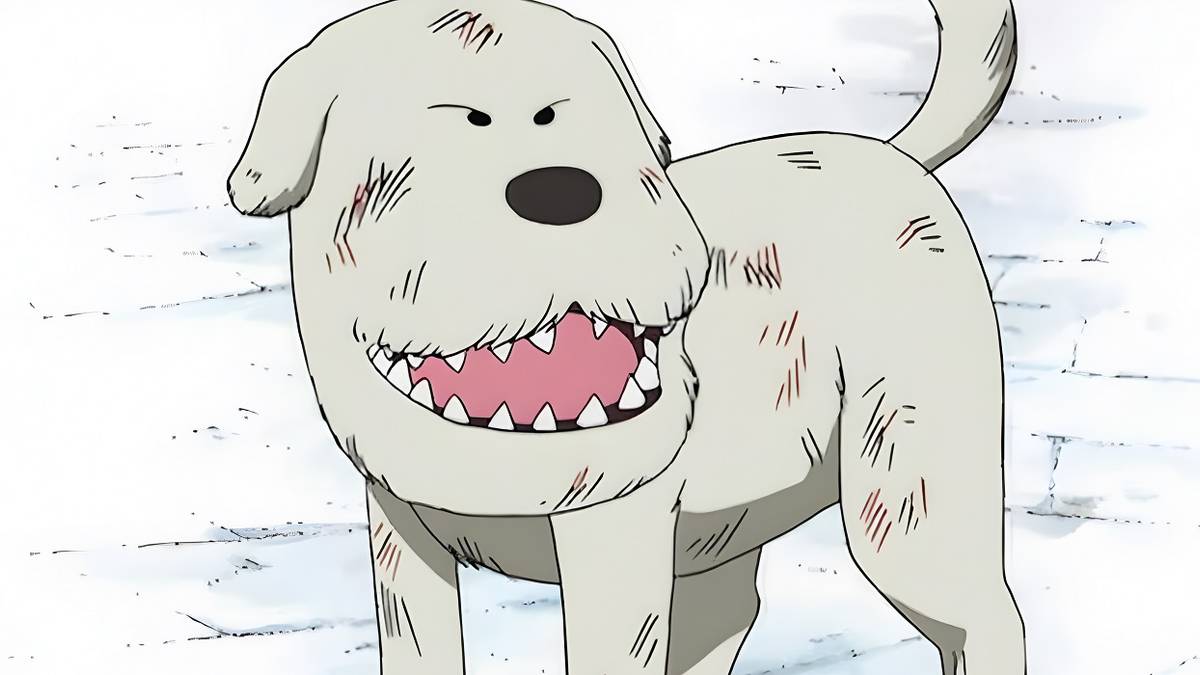 Netflix's One Piece Showrunner Addresses Absence of Animal Characters ...