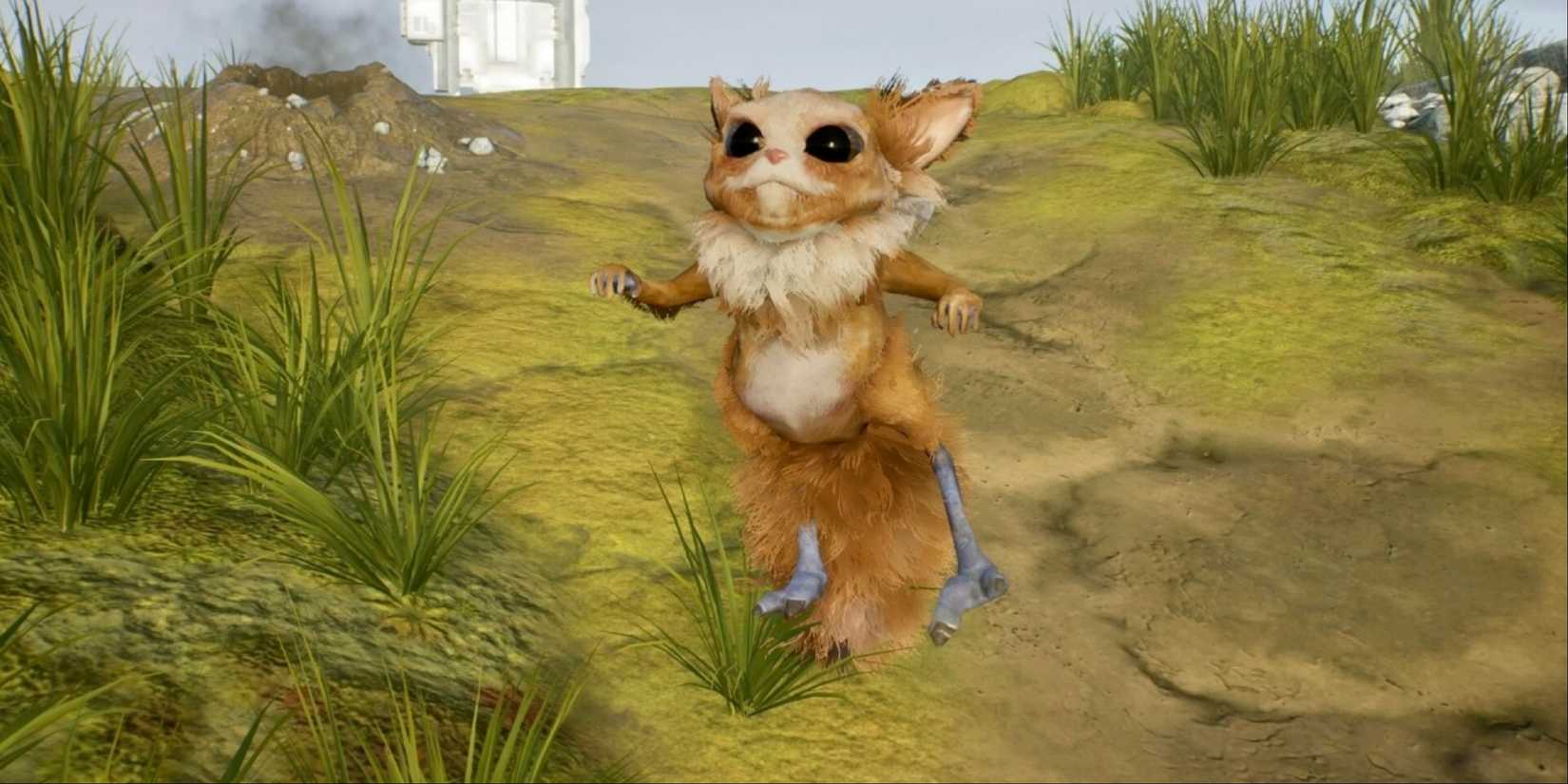 The 20 Cutest Star Wars Creatures