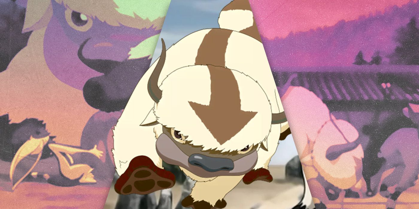 Best Sokka Moments in Avatar The Last Airbender, Ranked