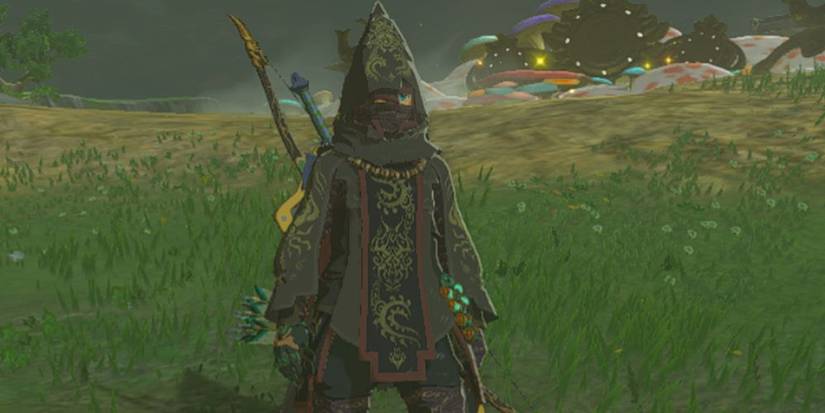 The Best Tears Of The Kingdom Armor Sets, Ranked