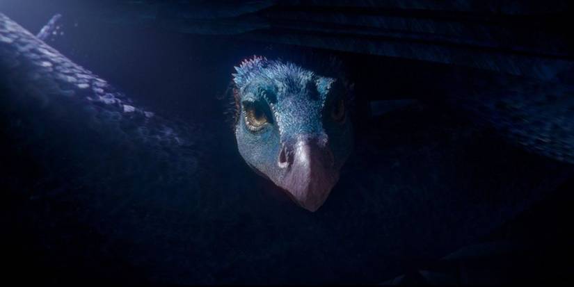 Biggest Harry Potter Creatures