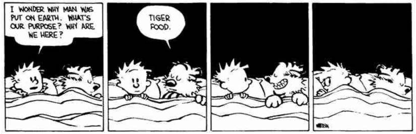 Hobbes' 15 Greatest Moments In Calvin & Hobbes