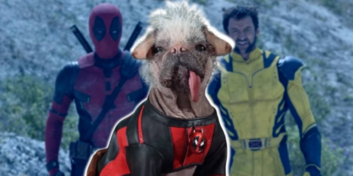 Deadpool 3 Finally Wraps Filming, Ryan Reynolds and Dogpool Share Final ...