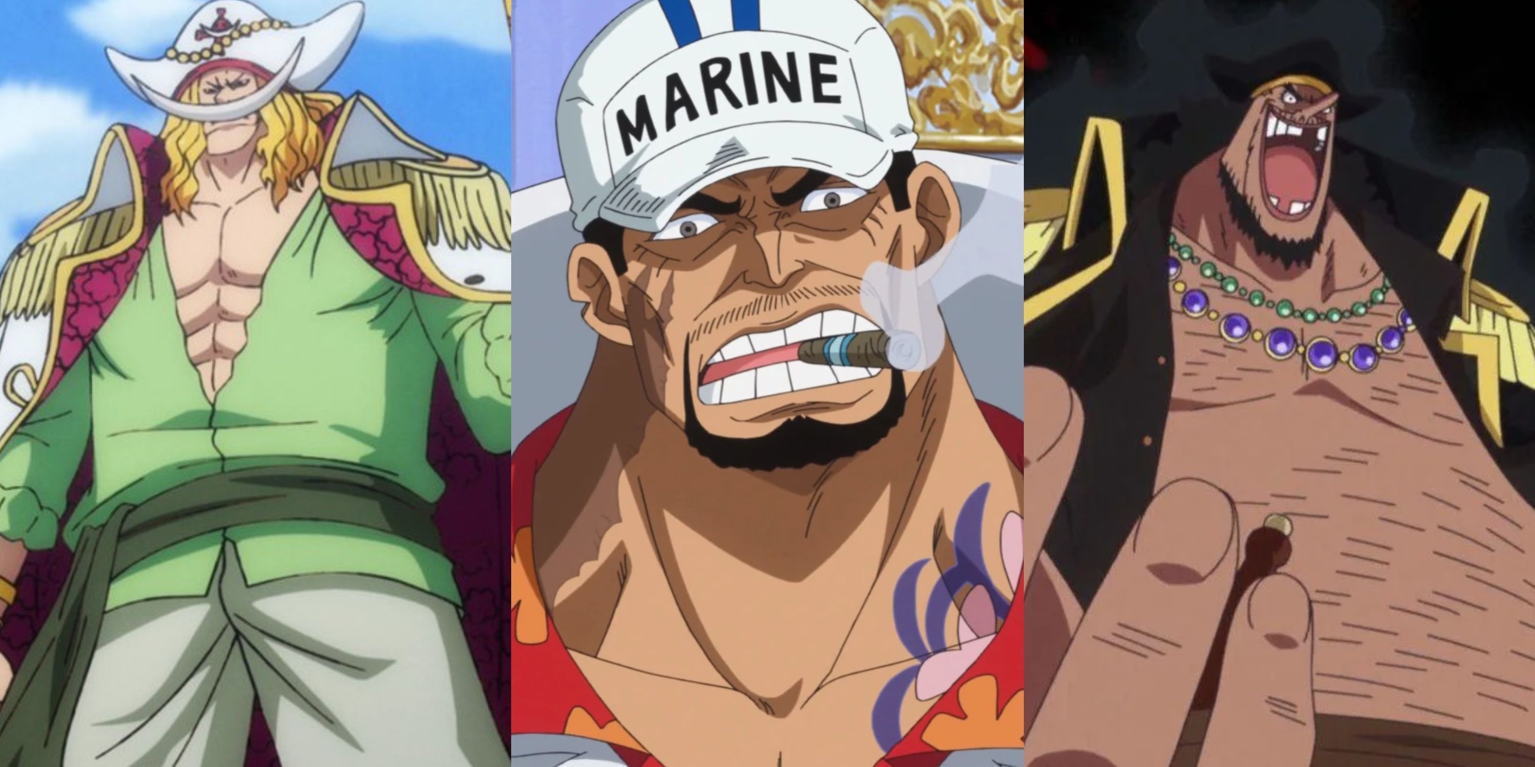Best Devil Fruits For Nami's Strengths