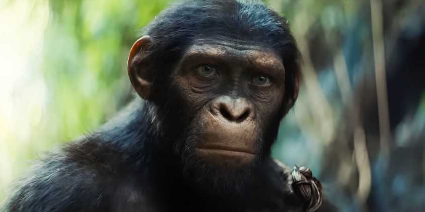 Planet of the Apes: Caesar's Influence on the Series, Explained