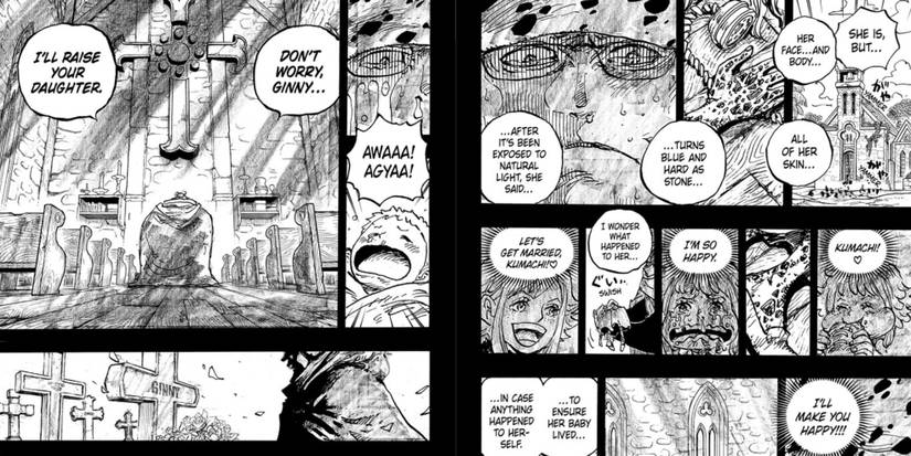 One Piece: Manga Confirms The Bonney Child Theory