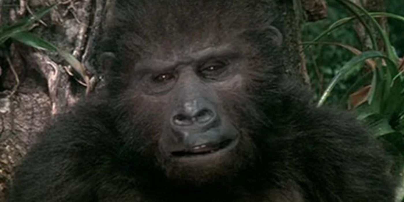 Godzilla x Kong: A Guide to the Kaiju Titans' Children