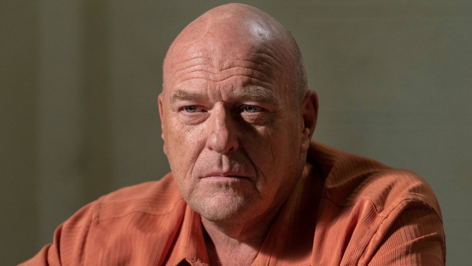 New Breaking Bad Project Releasing This Year With Dean Norris