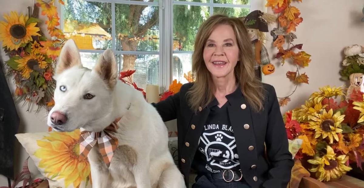 The Exorcist: Linda Blair Reflects on 50 Years of the Horror Masterpiece