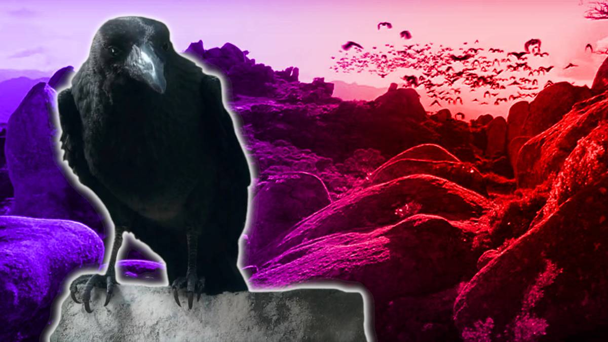 The Crebain in The Lord of the Rings, Explained