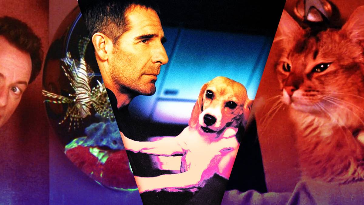 Star Trek's Famous Pets, Ranked