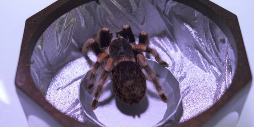Star Trek's Famous Pets, Ranked