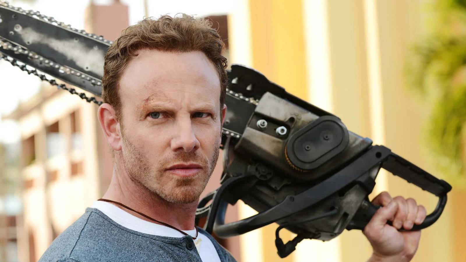 Sharknado Star Ian Ziering Responds After Apparent Attack by Mini ...