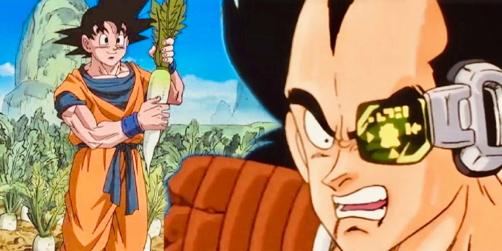 What Do The Names In Dragon Ball Mean?