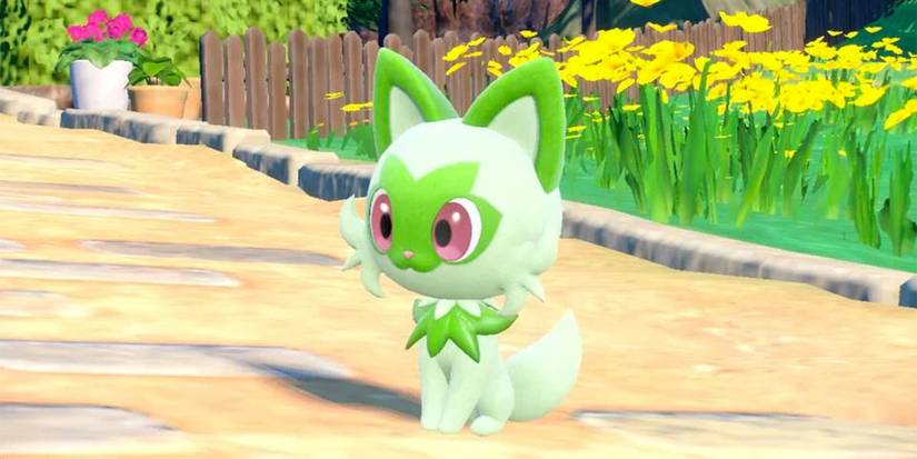 10 Starter Pokémon No One Ever Picks