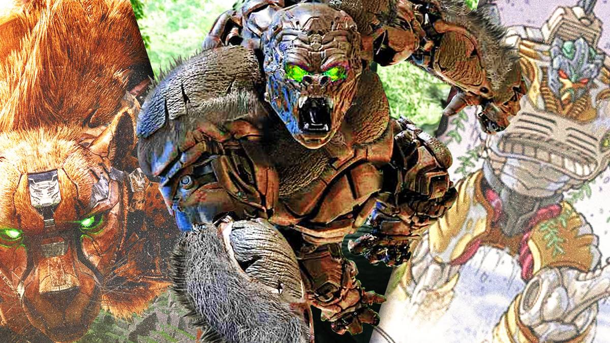 Which Are the Best Maximals in Transformers?