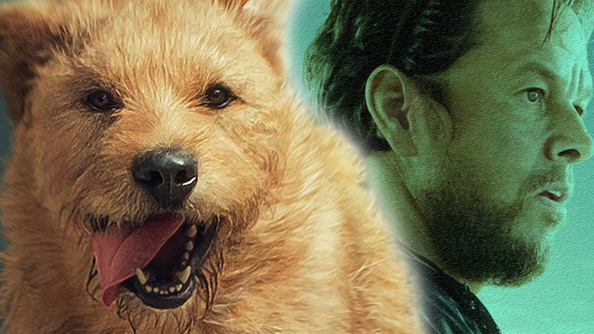 REVIEW: Arthur The King Is Feel Good Adventure And Heartfelt Animal Drama